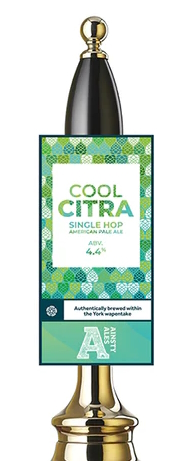 Beers - Rockin' All Over The Wold